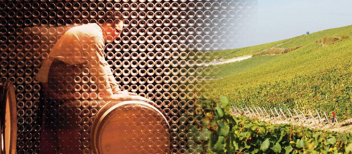 Jean Bouchard Awarded the Best Winery of 2019