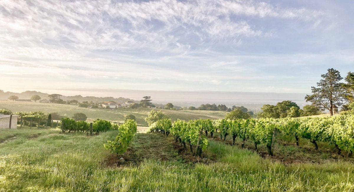 Bergerac | Wine Regions | France
